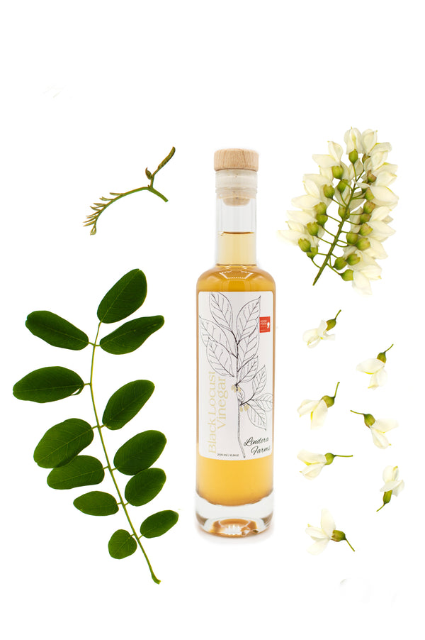 Black Locust Vinegar - Lindera Farms