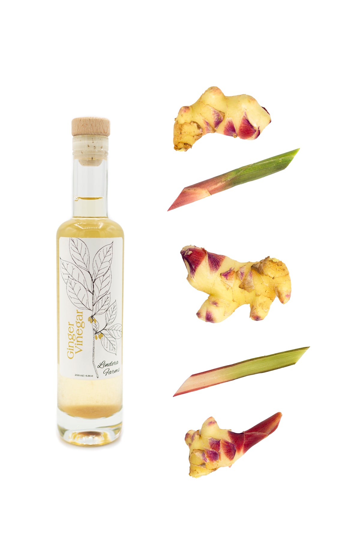 Ginger Vinegar - Lindera Farms